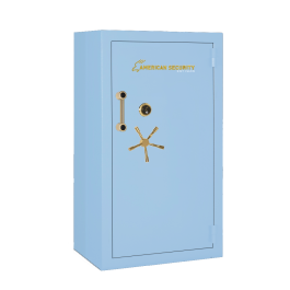 Amsec BFX6636 UL Rated RSC Burglar/2 Hour Fire Long Gun Safe, Brass ...