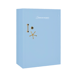Amsec BFX7250 UL Rated RSC Burglar/2 Hour Fire Long Gun Safe, Brass ...