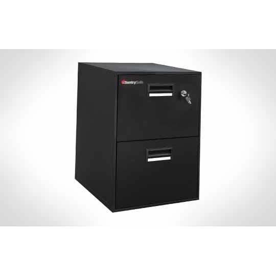 Sentrysafe Fire Safe 6000 2 Drawer Vertical File Cabinet | Cabinets ...