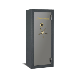 Amsec BFX6024 UL Rated RSC Burglar/2 Hour Fire Long Gun Safe, Brass ...