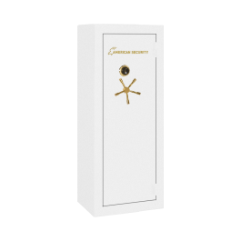 Amsec BFX6024 UL Rated RSC Burglar/2 Hour Fire Long Gun Safe, Brass ...