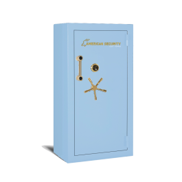 Amsec BFX6032 UL Rated RSC Burglar/2 Hour Fire Long Gun Safe, Brass ...