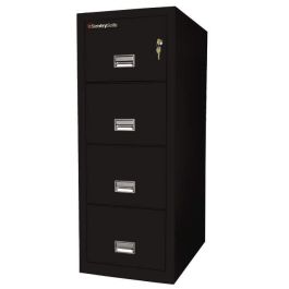 Sentry 4G3120 4 Drawer Two Hour Fire Protection File Cabinet
